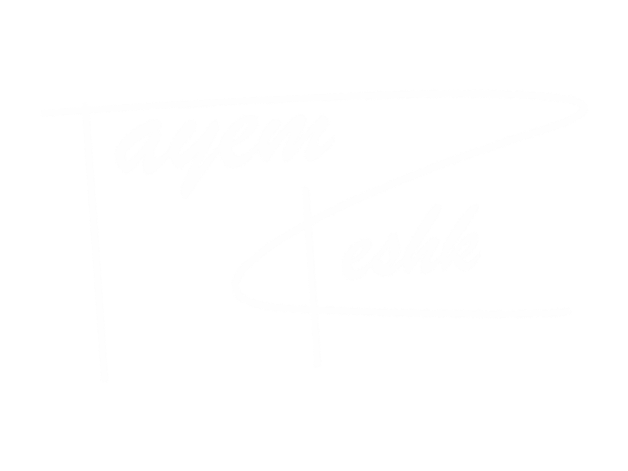 Tayem Keshk | Portfolio